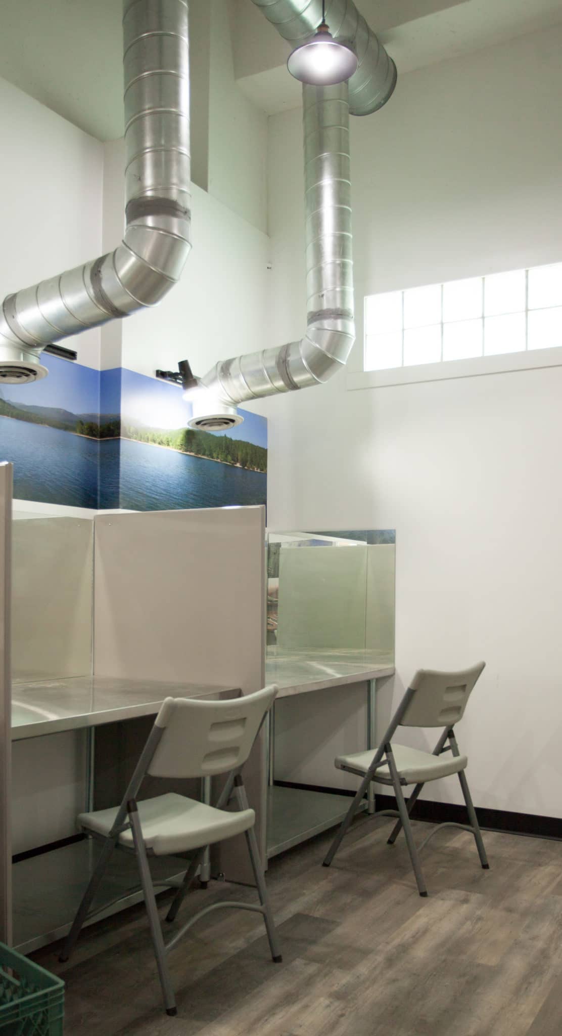 Safe Consumption Means Safe Inhalation, Too: An All-Inclusive Model