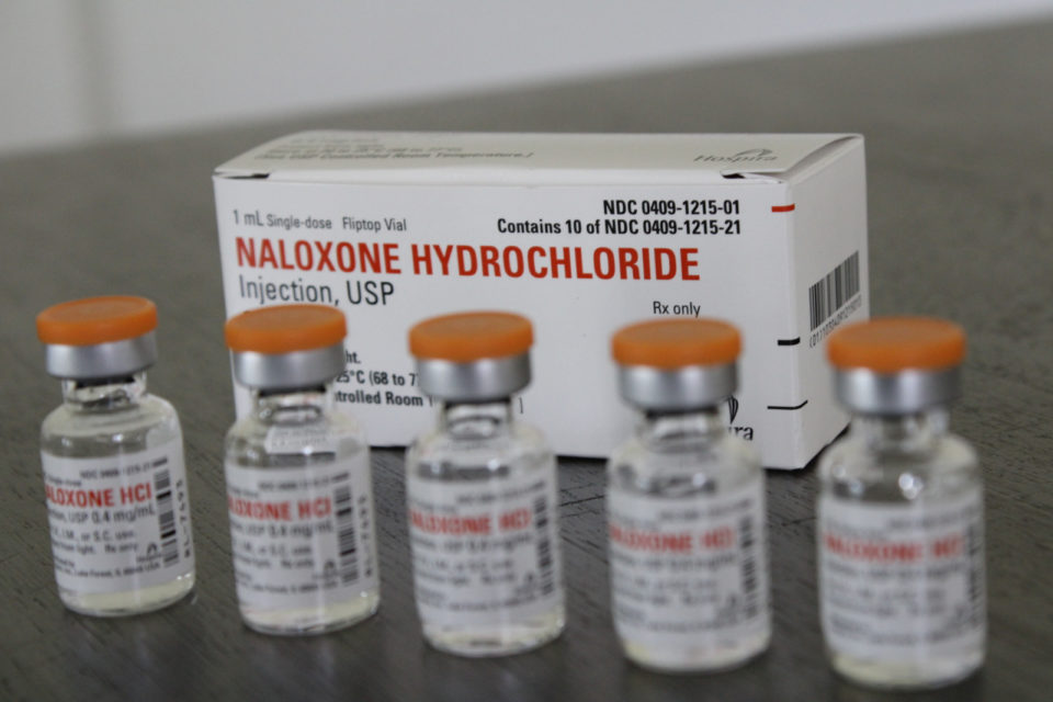 Morgan Godvin, Author at Filter