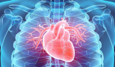 Vaping Does Not Cause Heart Attacks, Study Finds, Refuting Previous Claims