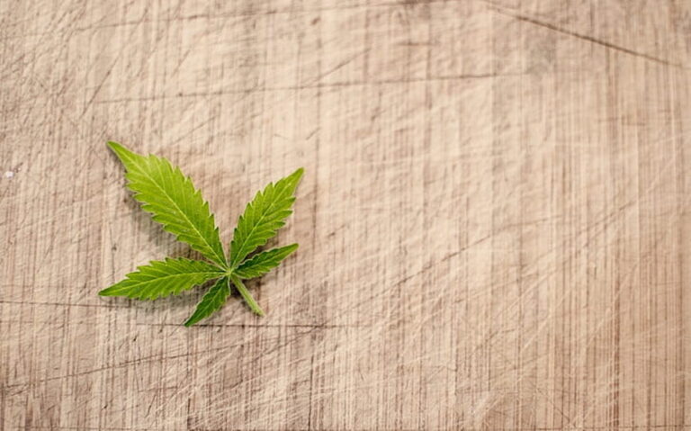 Teen Cannabis Use Has Fallen Amid Legalization, CDC Data Show