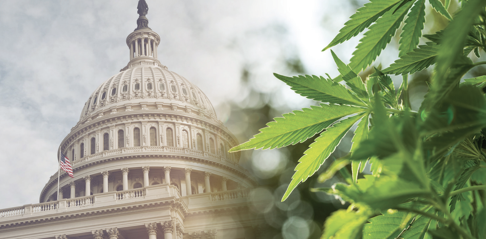 The Most Notable Federal Marijuana Actions of 2024